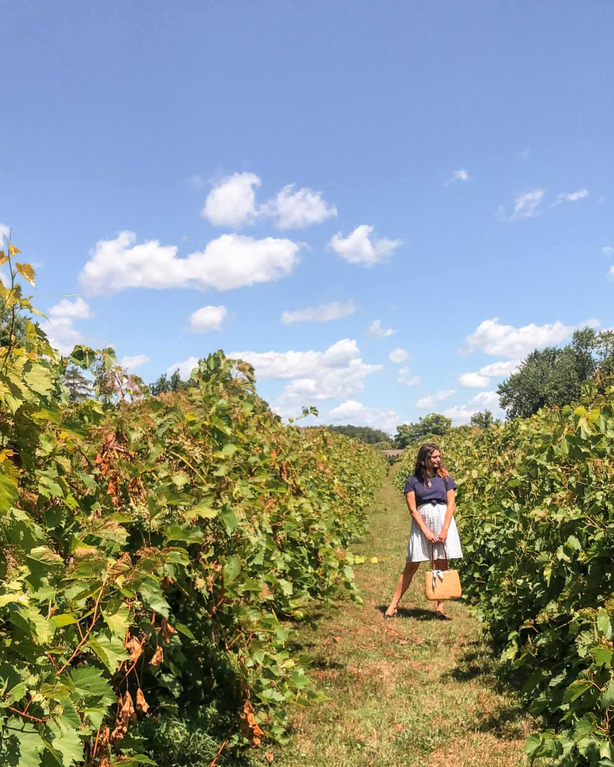 Epic Ohio Summer Bucket List - Lost In Laurel Land