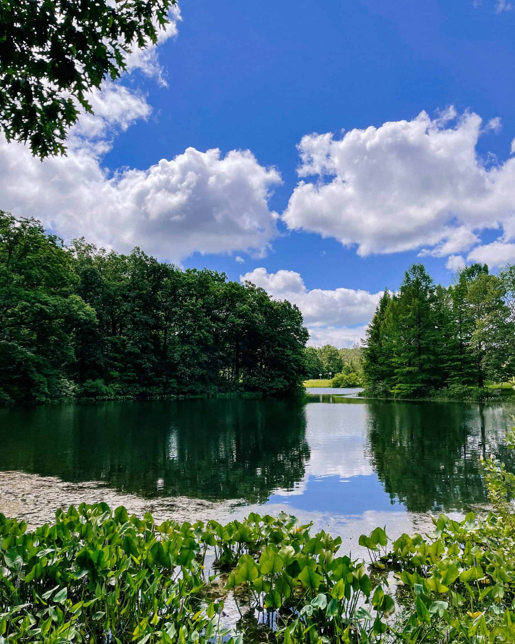 Amazing Outdoor Adventures To Do In Northeast Ohio This Year - Lost In ...
