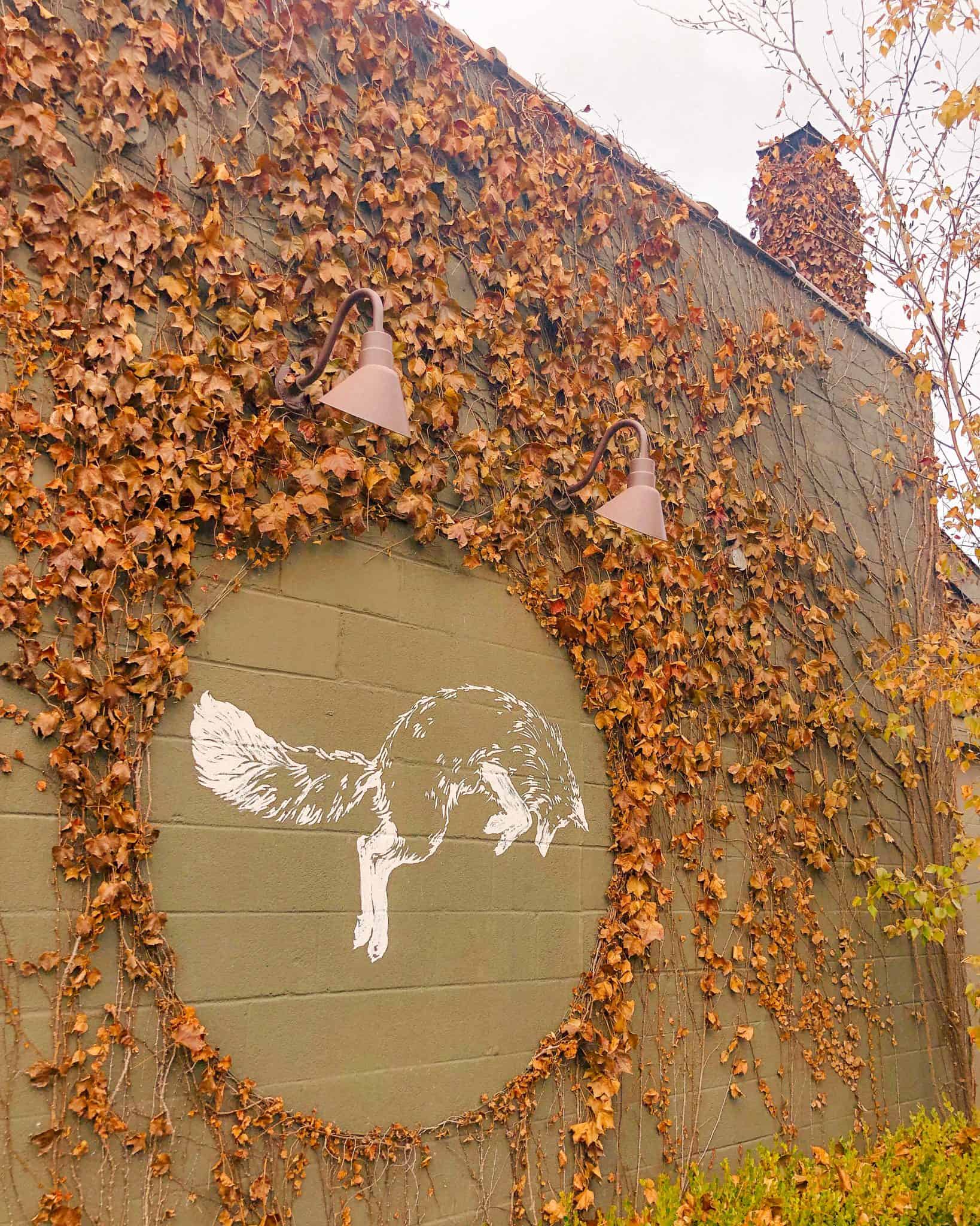 Things You Must Do In Ohio This Fall - Lost In Laurel Land