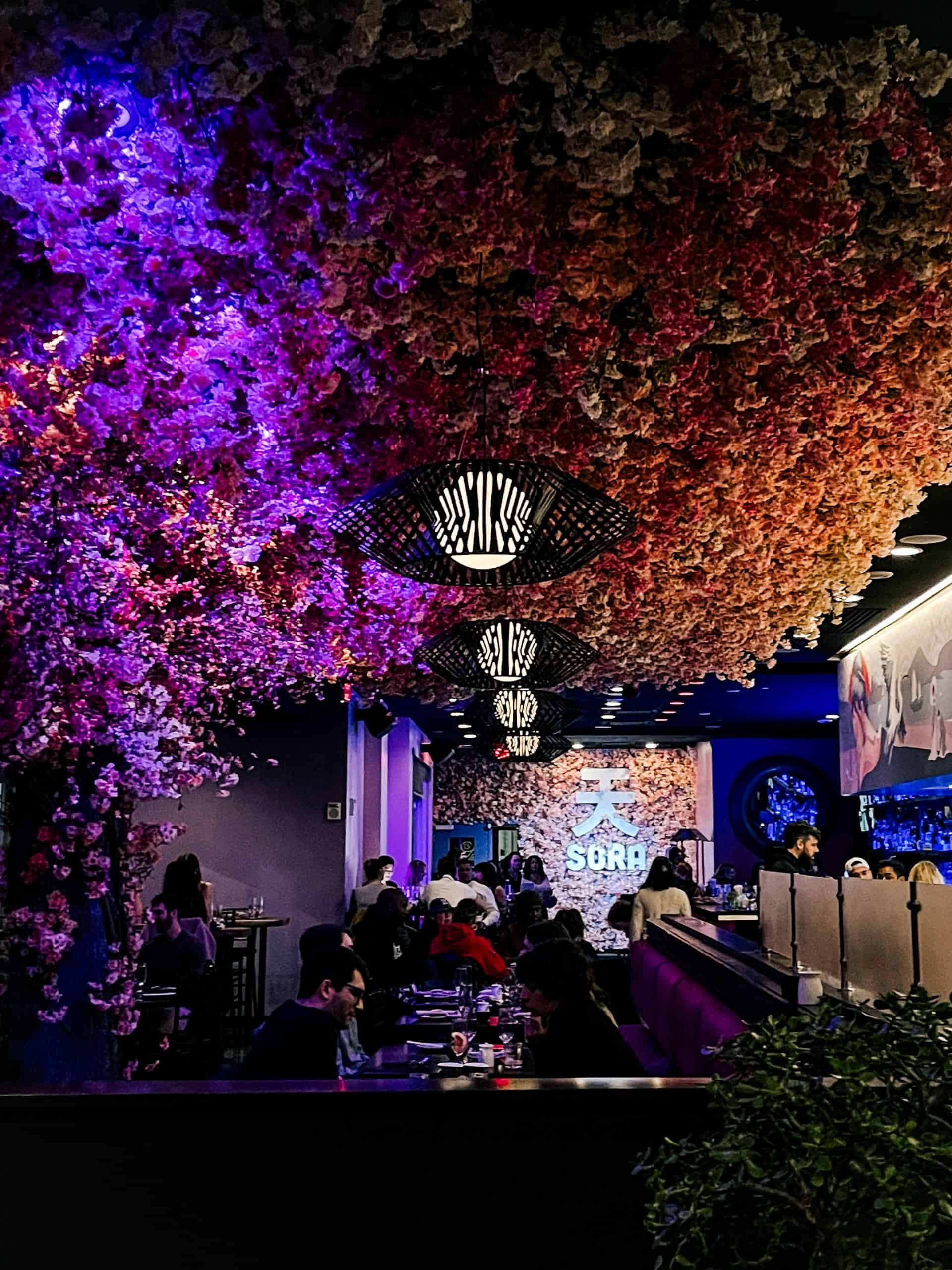 Spring Activities To Enjoy In Ohio This Year - Lost In Laurel Land