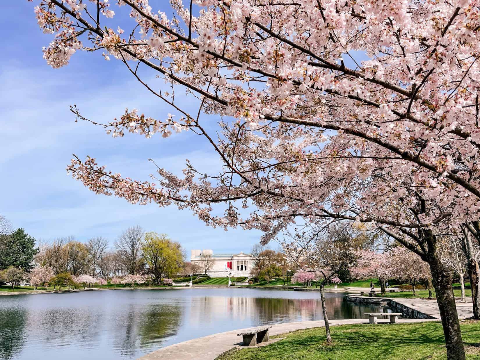 Spring Activities To Enjoy In Ohio This Year - Lost In Laurel Land